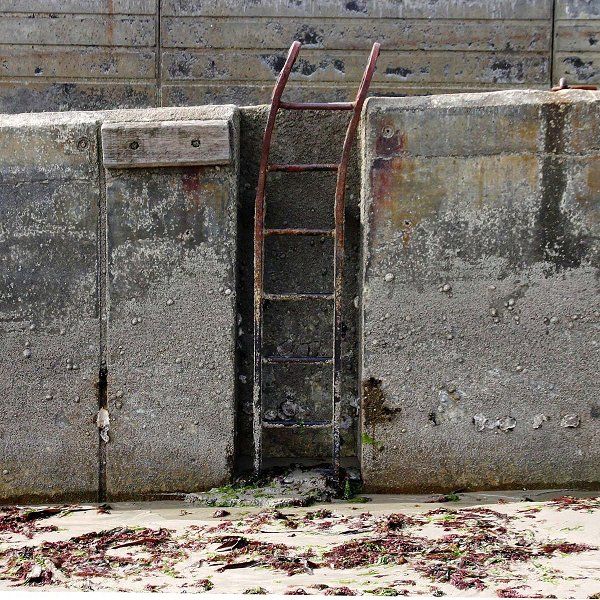 Photo Friday: caramel - "Strange ladder"